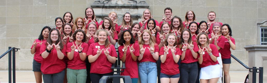 Occupational Therapy – UW-Madison School of Education – UW–Madison