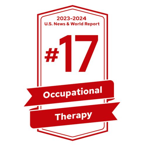 Why Choose UW – Occupational Therapy – UW–Madison